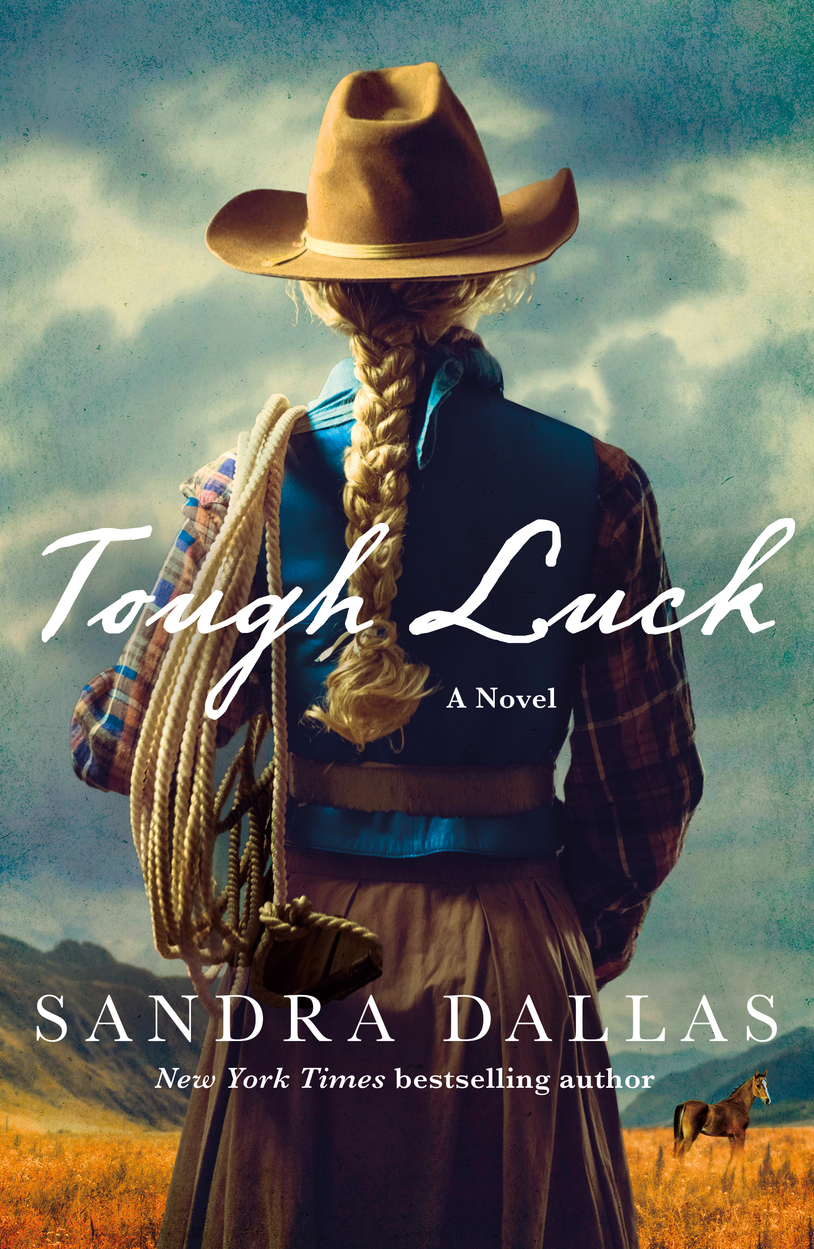 tough luck review – Amy Hammond Hagberg